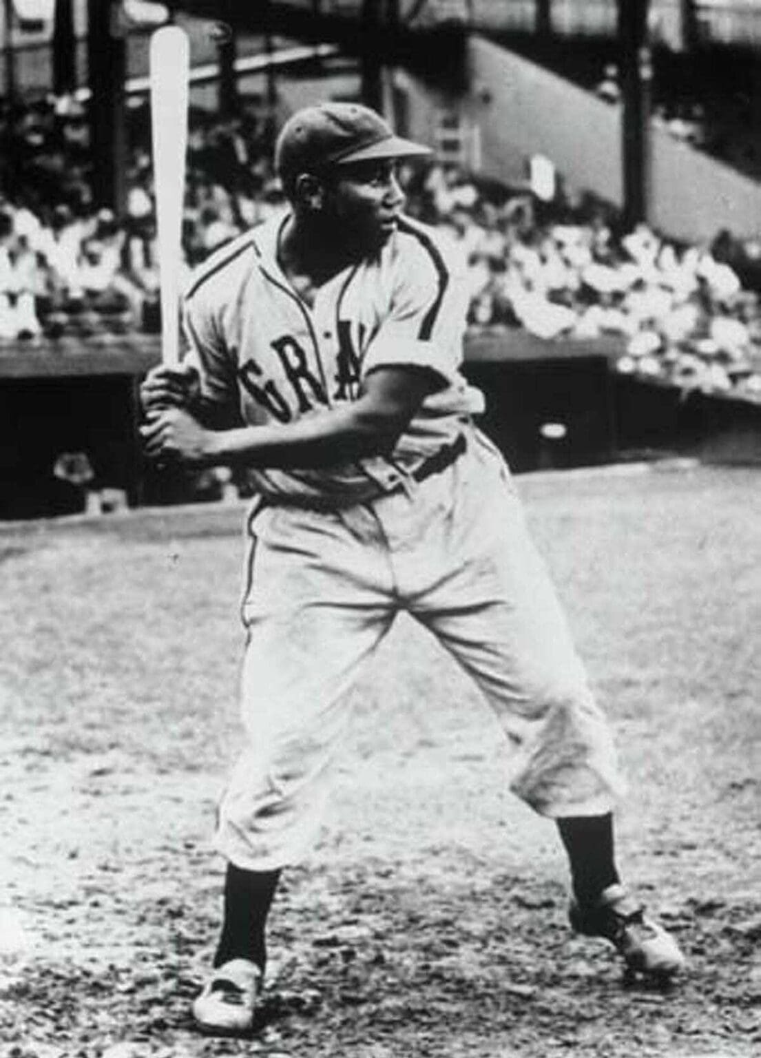 Beyond the Headlines: The Enduring Legacy of the Homestead Grays and ...